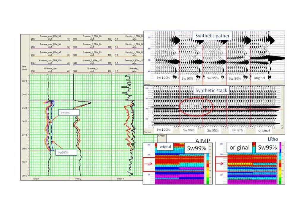 Interpretive processing – Reservoir Evaluation Services